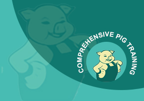 Teachingkrow- A Reputed Online Training Institute Worldwide